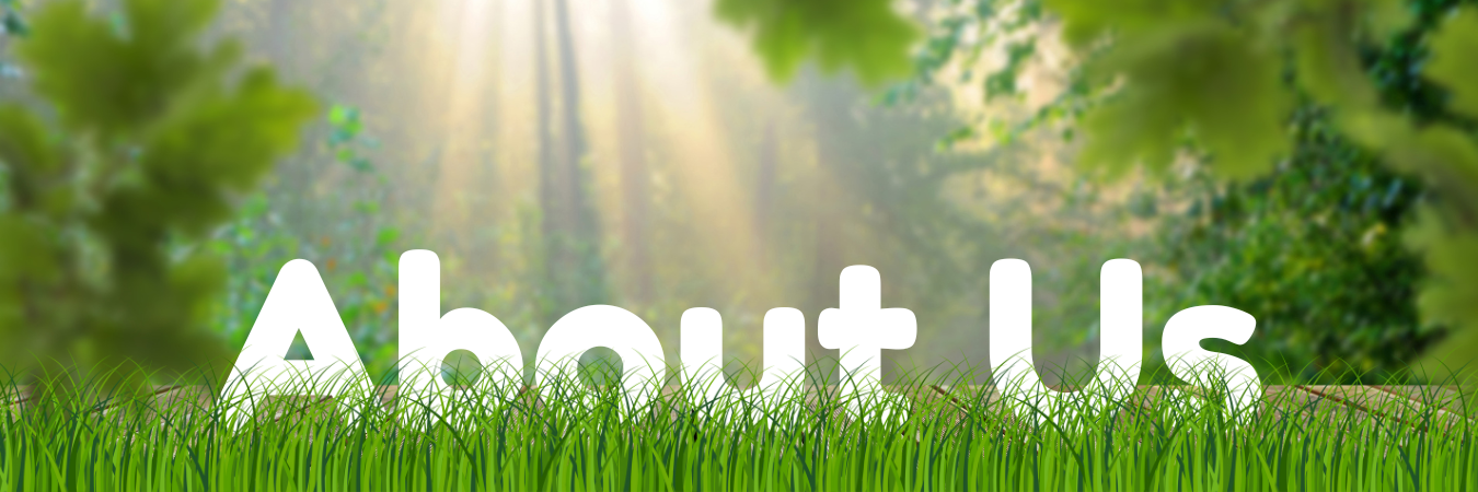 About - Airtech Purifier